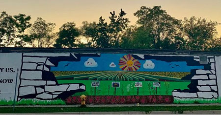 Our Impact – CMFL website