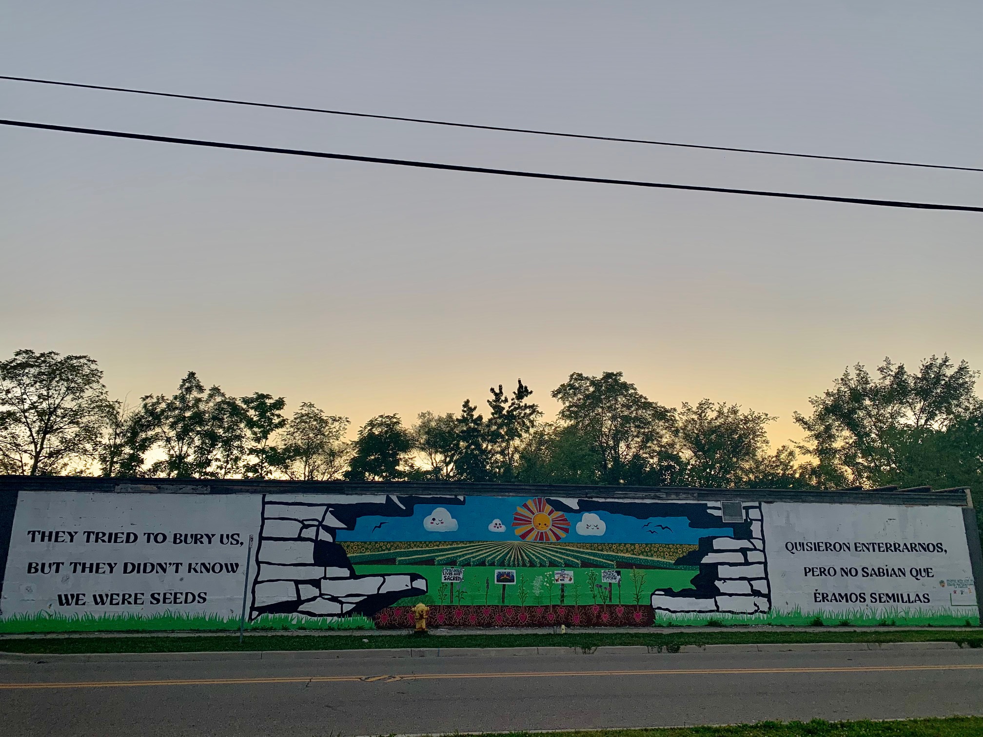 Home-CMLF - centromulticultural